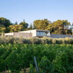 From Aix-en-Provence : Wine, Olive Oil and Scenic Villages - Who Will Love This Tour?