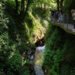 From Aix-les-Bains: Gorges du Sierroz and Mont Revard summit - Practical Details and Value