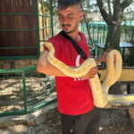 From Alanya: Lion Safari & Green Canyon Splash Feast w/Lunch - What to Expect