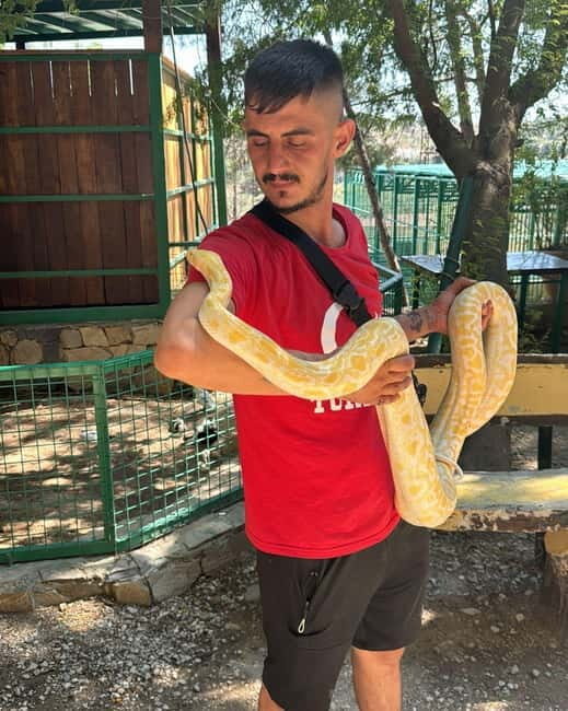 From Alanya: Lion Safari & Green Canyon Splash Feast w/Lunch - What to Expect