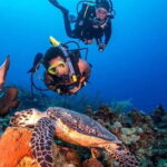 From Alanya: Scuba Diving Tour with Hotel Transfers - The Underwater Environment and Visibility