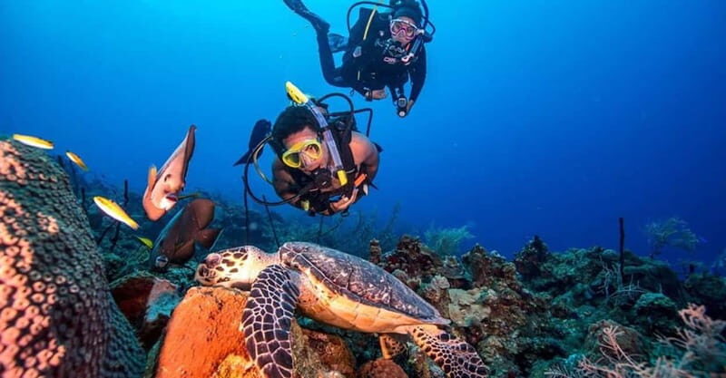 From Alanya: Scuba Diving Tour with Hotel Transfers - The Underwater Environment and Visibility