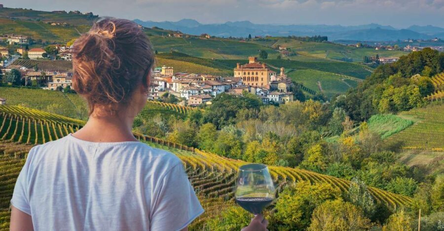 From Alba/Turin: Langhe Wine Day Trip with Tastings & Lunch - The Sum Up: Is This Tour Worth It?