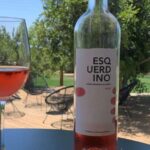 From Albufeira: 4x4 Off-Road Safari & Vineyard Wine Tasting - Who Is This Tour Perfect For?