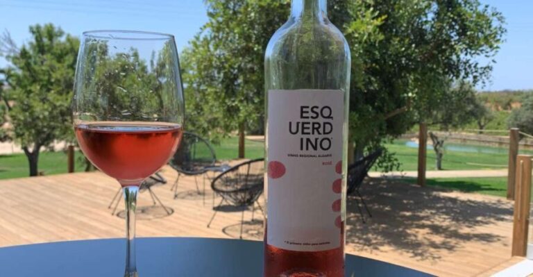 From Albufeira: 4x4 Off-Road Safari & Vineyard Wine Tasting - Who Is This Tour Perfect For?
