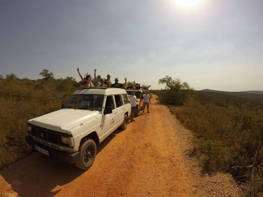 From Albufeira: Algarve Sunset Jeep Tour with Tastings - Key Points