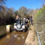 From Albufeira: Half-Day Algarve Jeep Safari - Detailed Review of the Algarve Jeep Safari Experience