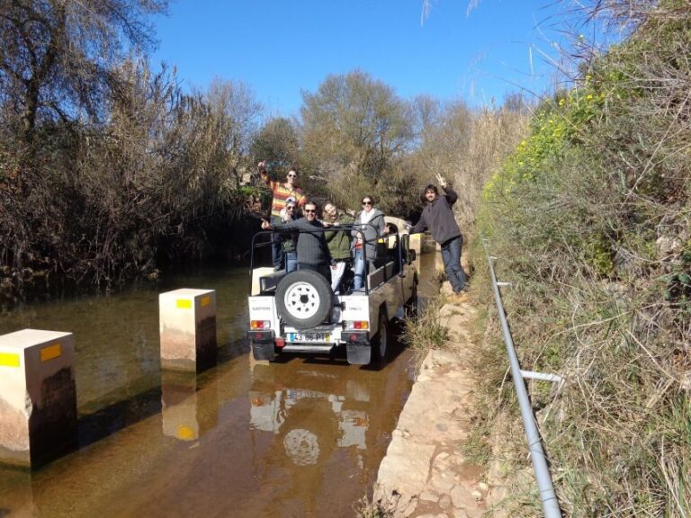 From Albufeira: Half-Day Algarve Jeep Safari - Detailed Review of the Algarve Jeep Safari Experience