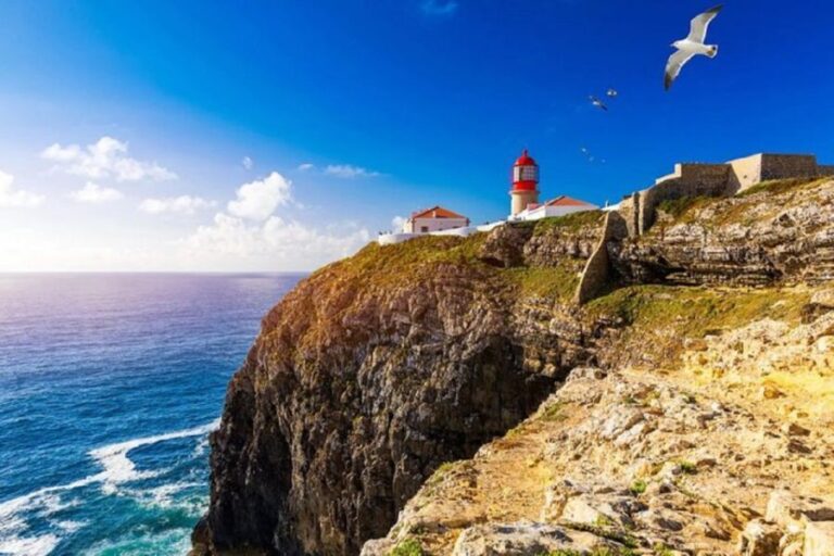 From Albufeira: Half-Day Lagos & Sagres Highlights Tour - Sagres and Cape São Vicente: The End of the World