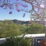 From Albufeira: Half-Day Winery Tour and Silves - Exploring Silves: A Dash of History and Charm