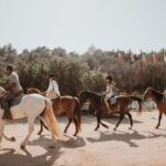 From Albufeira: Horse Riding Tour with Pickup - Why This Tour Works Well for Different Travelers