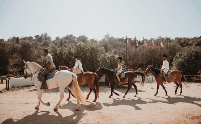 From Albufeira: Horse Riding Tour with Pickup - Why This Tour Works Well for Different Travelers
