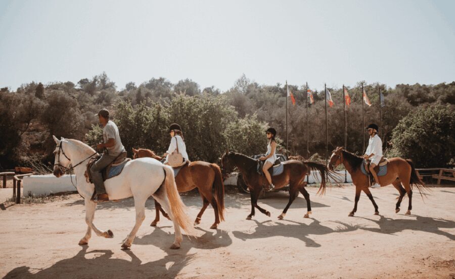 From Albufeira: Horse Riding Tour with Pickup - Why This Tour Works Well for Different Travelers