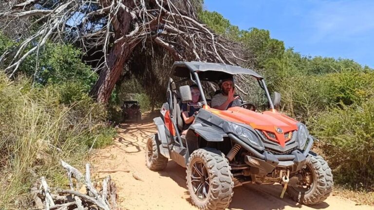 From Albufeira: Paderne Adventure Buggy Ride - Practical Details and Tips