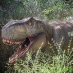 From Alcúdia: Dinosaurland and Hams' Caves Half-Day Trip - What You Can Expect from the Tour