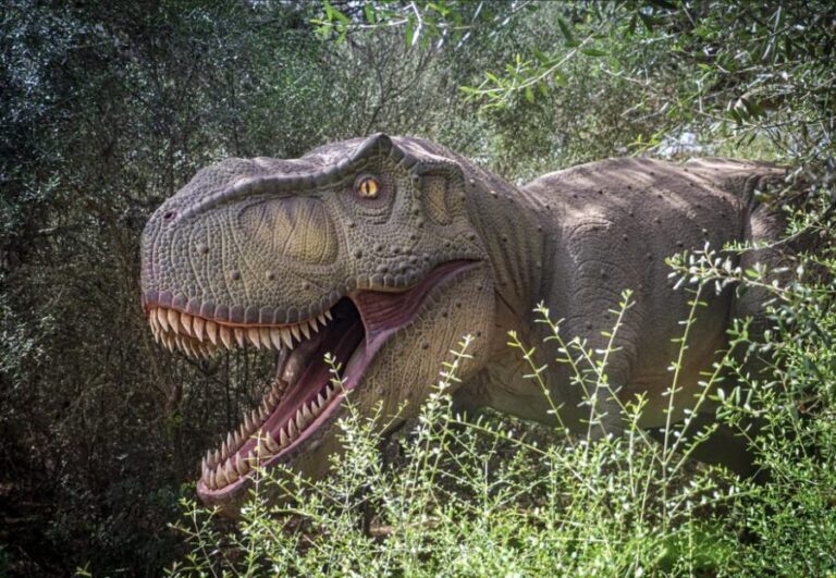 From Alcúdia: Dinosaurland and Hams' Caves Half-Day Trip - What You Can Expect from the Tour