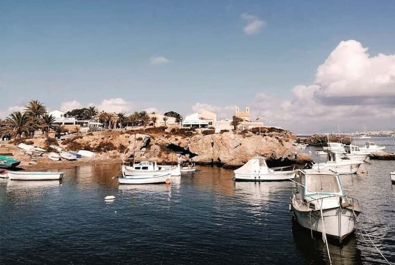 From Alicante and Torrevieja: Excursion to Tabarca, Santa Pola and Laguna Rosa - Exploring the Itinerary: What Makes Each Stop Special