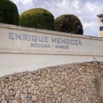 From Alicante, Benidorm-Best winery tour with tasting - What Sets This Tour Apart