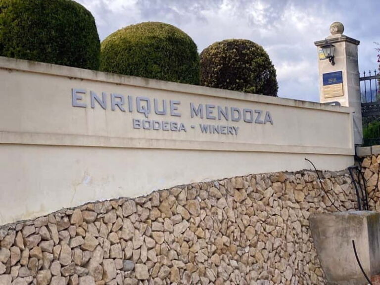 From Alicante, Benidorm-Best winery tour with tasting - What Sets This Tour Apart