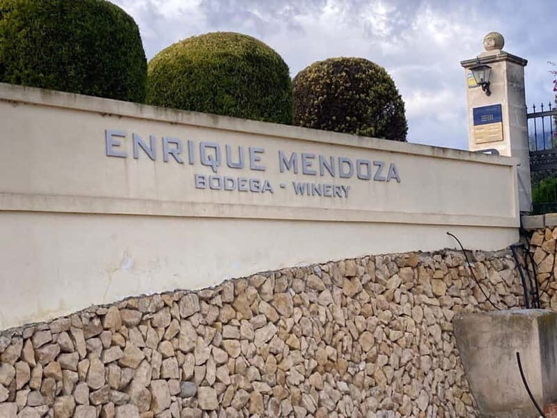 From Alicante, Benidorm-Best winery tour with tasting - What Sets This Tour Apart