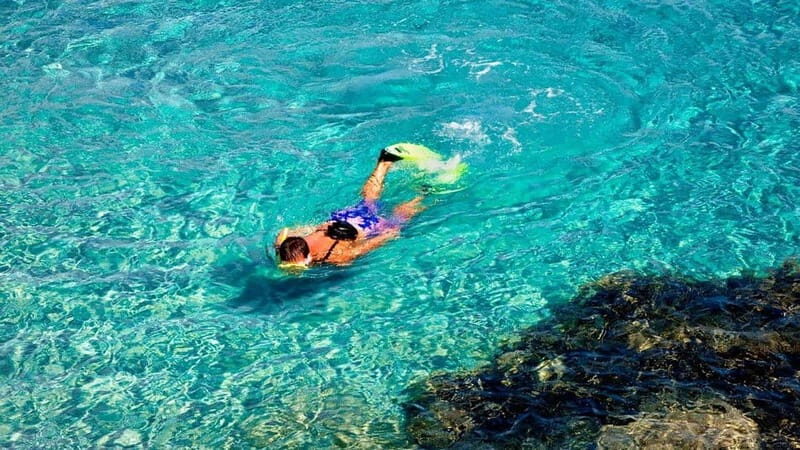 From Alicante/Benidorm: Tabarca Island & Santa Pola Salinas - Authentic Experiences Highlighted by Travelers