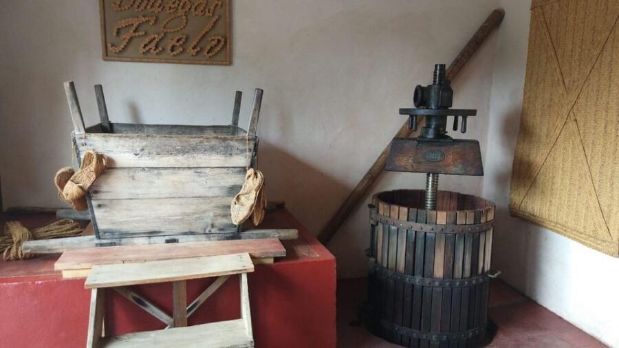 From Alicante: Best Winery Tour and Wine Tasting - What You Can Expect from This Tour