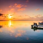 From Alicante: Cullera Old Town and Albufera Natural Park - Analyzing the Value