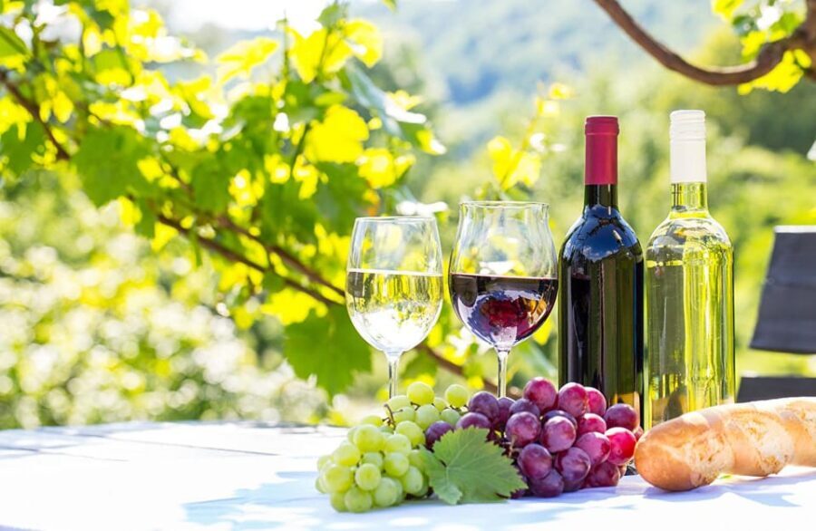From Alicante & Elche: Family owned rural Winery (tasting) - Discovering the Charm of a Traditional Spanish Winery