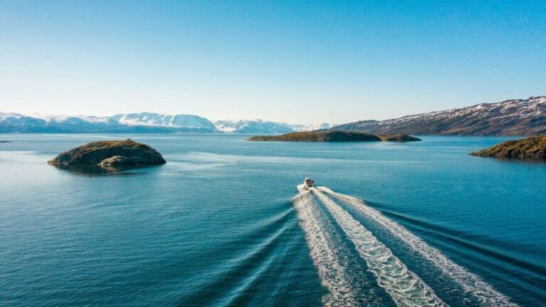 From Alta: Adventure Cruise in Alta Fjord - Authentic Experiences and Traveler Feedback