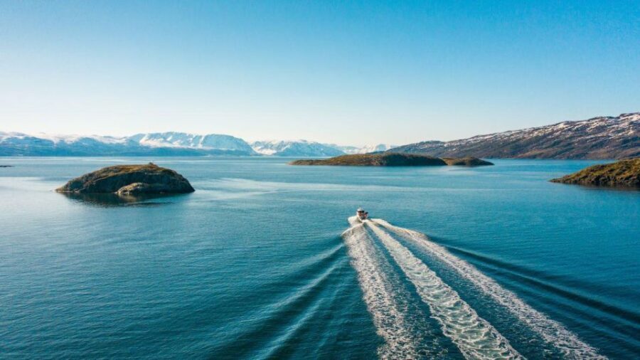 From Alta: Adventure Cruise in Alta Fjord - Authentic Experiences and Traveler Feedback