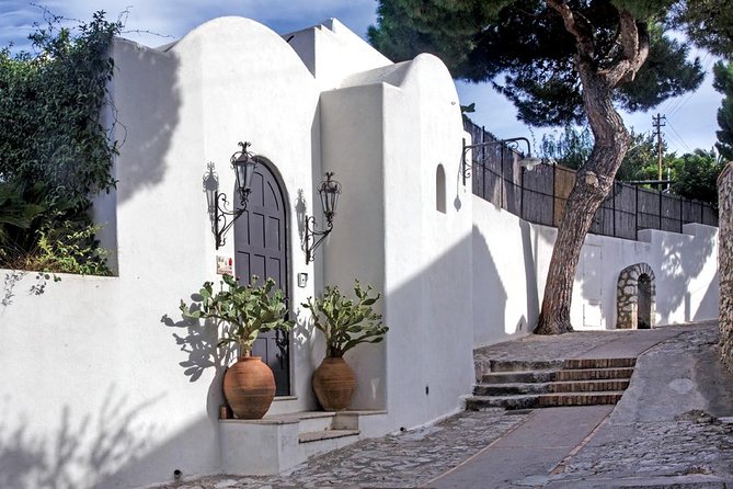 From Amalfi Coast: Capri & Anacapri guided tour by sea & by land - Key Points