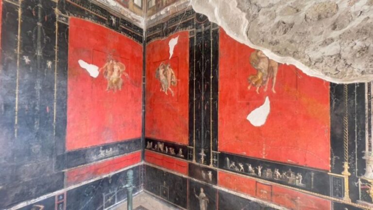 From Amalfi Coast: Pompeii Guided Tour - Analyzing the Cost and Experience