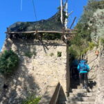 From Amalfi: Lemon Tour with Tasting Session and Transfer - Concluding Thoughts