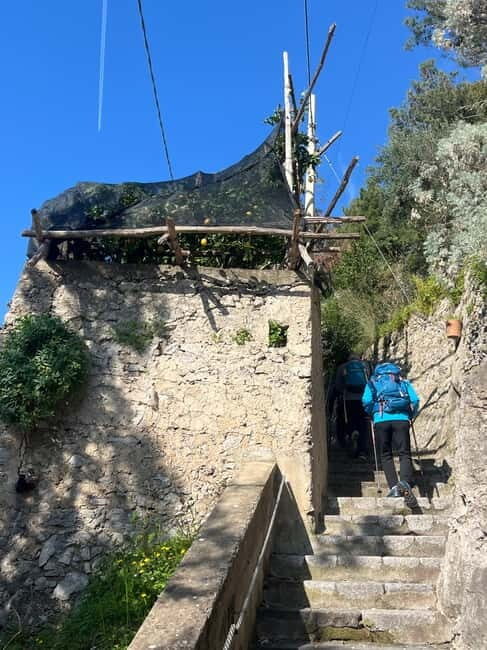 From Amalfi: Lemon Tour with Tasting Session and Transfer - Concluding Thoughts
