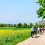 From Amsterdam: Countryside Bike Tour with Cheese Tasting - An In-Depth Look at the Countryside Bike Tour