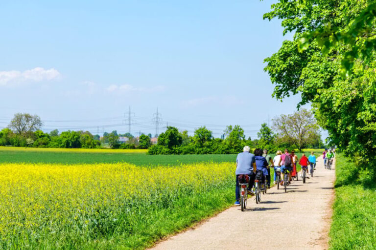 From Amsterdam: Countryside Bike Tour with Cheese Tasting - An In-Depth Look at the Countryside Bike Tour