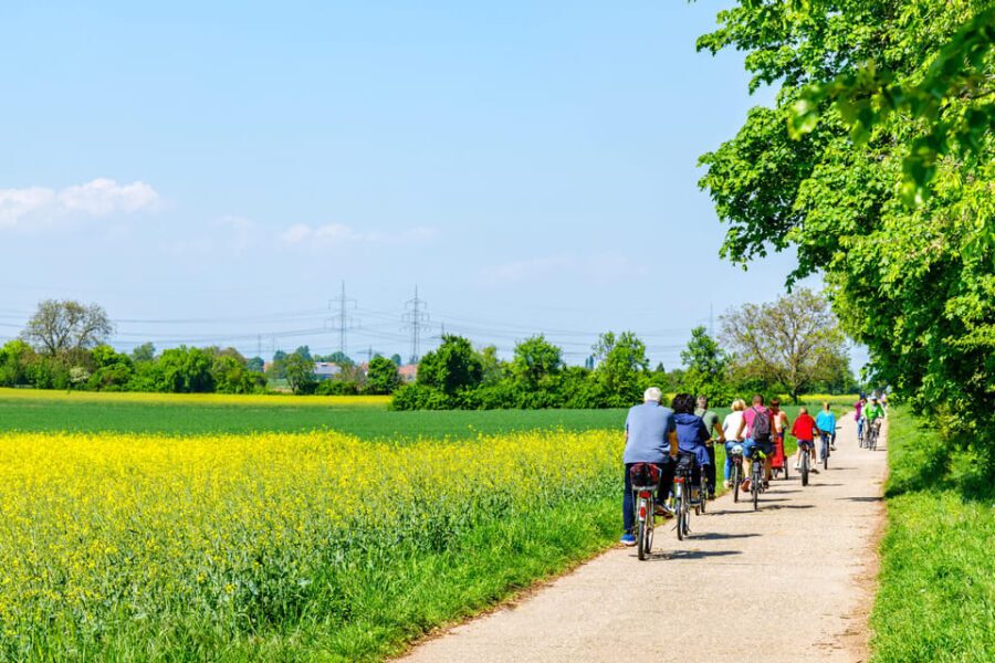 From Amsterdam: Countryside Bike Tour with Cheese Tasting - An In-Depth Look at the Countryside Bike Tour