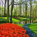 From Amsterdam: Keukenhof Gardens and Giethoorn Tour - Why We Believe This Tour Offers Real Value