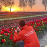 From Amsterdam: The Tulip Sunset Tour with Dinner - Who Will Love This Tour?
