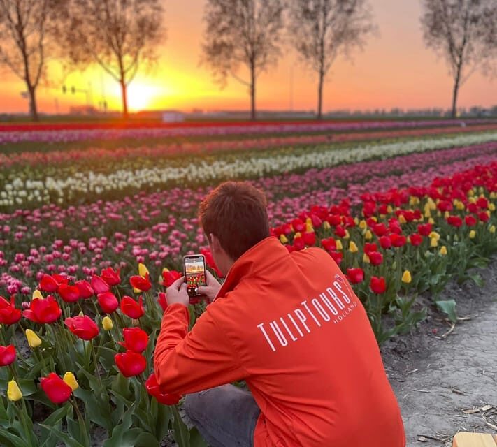 From Amsterdam: The Tulip Sunset Tour with Dinner - Who Will Love This Tour?