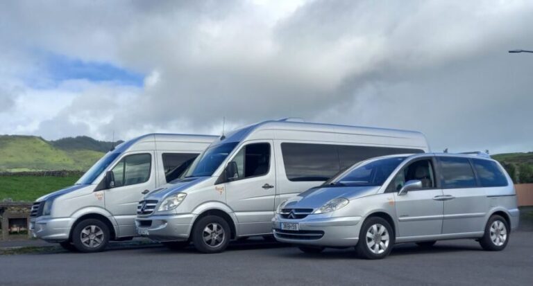 From Angra: Terceira Island Full-Day Tour - The Driving Experience and Group Size
