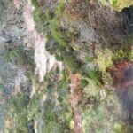 From Angra: Terceira Island Half-Day Geotour (Shared Tour) - The Experience and Its Value