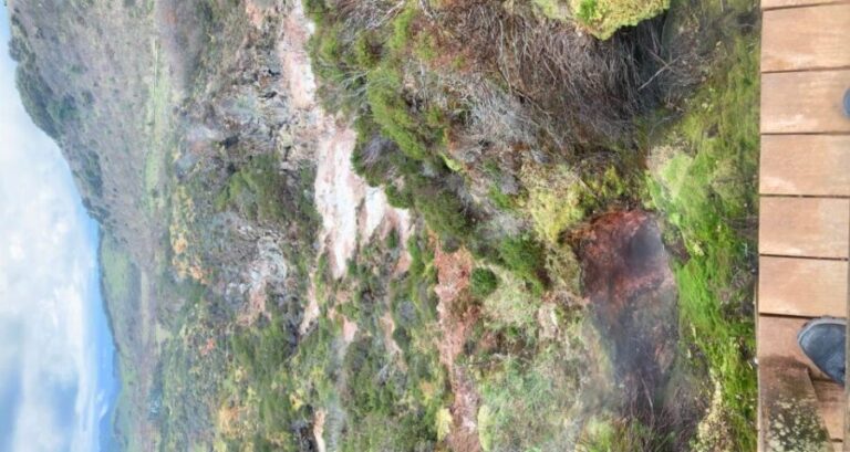 From Angra: Terceira Island Half-Day Geotour (Shared Tour) - The Experience and Its Value