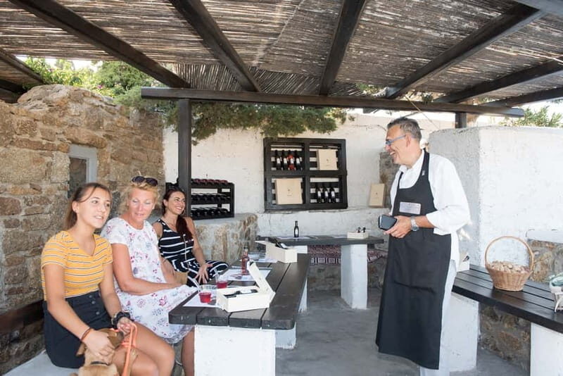 From Ano Mera: Day Tour & Wine Tasting with dinner At A Farm - Whats Included and Valued