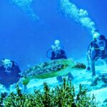 From Antalya| Kemer: Diving Tour with Experienced Instructor - A Closer Look at the Pros and Cons