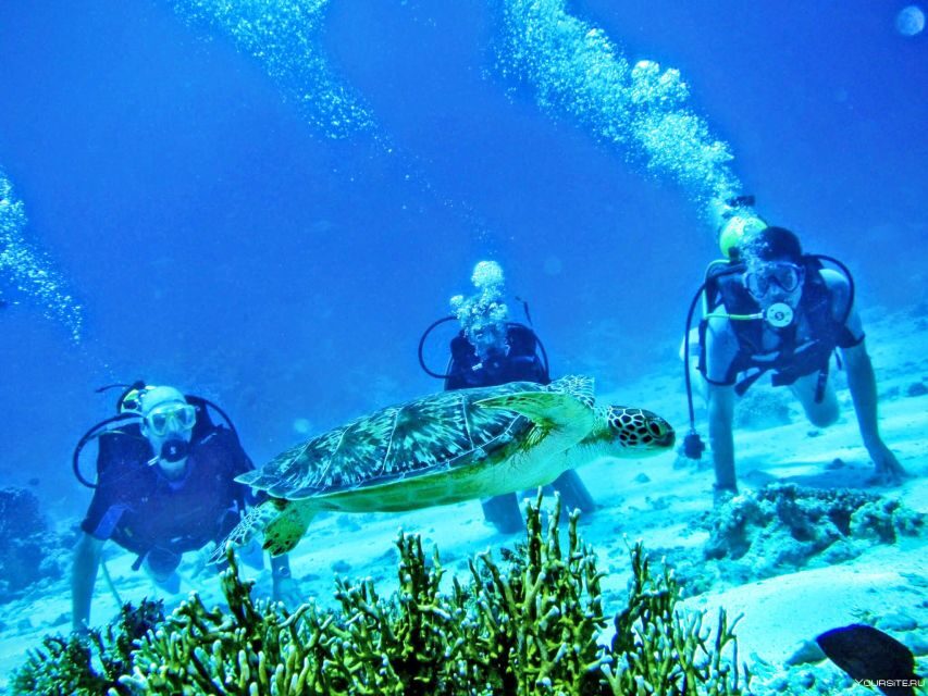From Antalya| Kemer: Diving Tour with Experienced Instructor - A Closer Look at the Pros and Cons