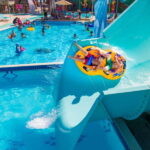 From Antalya/Kemer: Dolusu Park (Medium Package) - A Closer Look at Dolusu Park: A Playground of Water and Story
