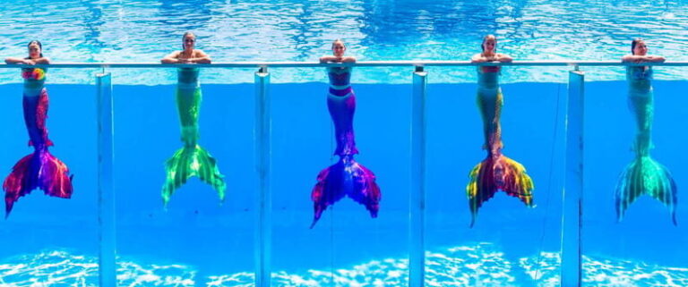 From Antalya/Kemer: Dolusu Park (Standart Package) - Pricing and Value
