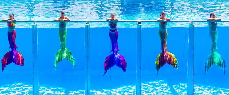 From Antalya/Kemer: Dolusu Park (Standart Package) - Pricing and Value