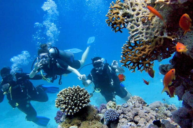 From Antalya: Scuba Diving With Lunch and Transfer - The Value of Ease and Comfort